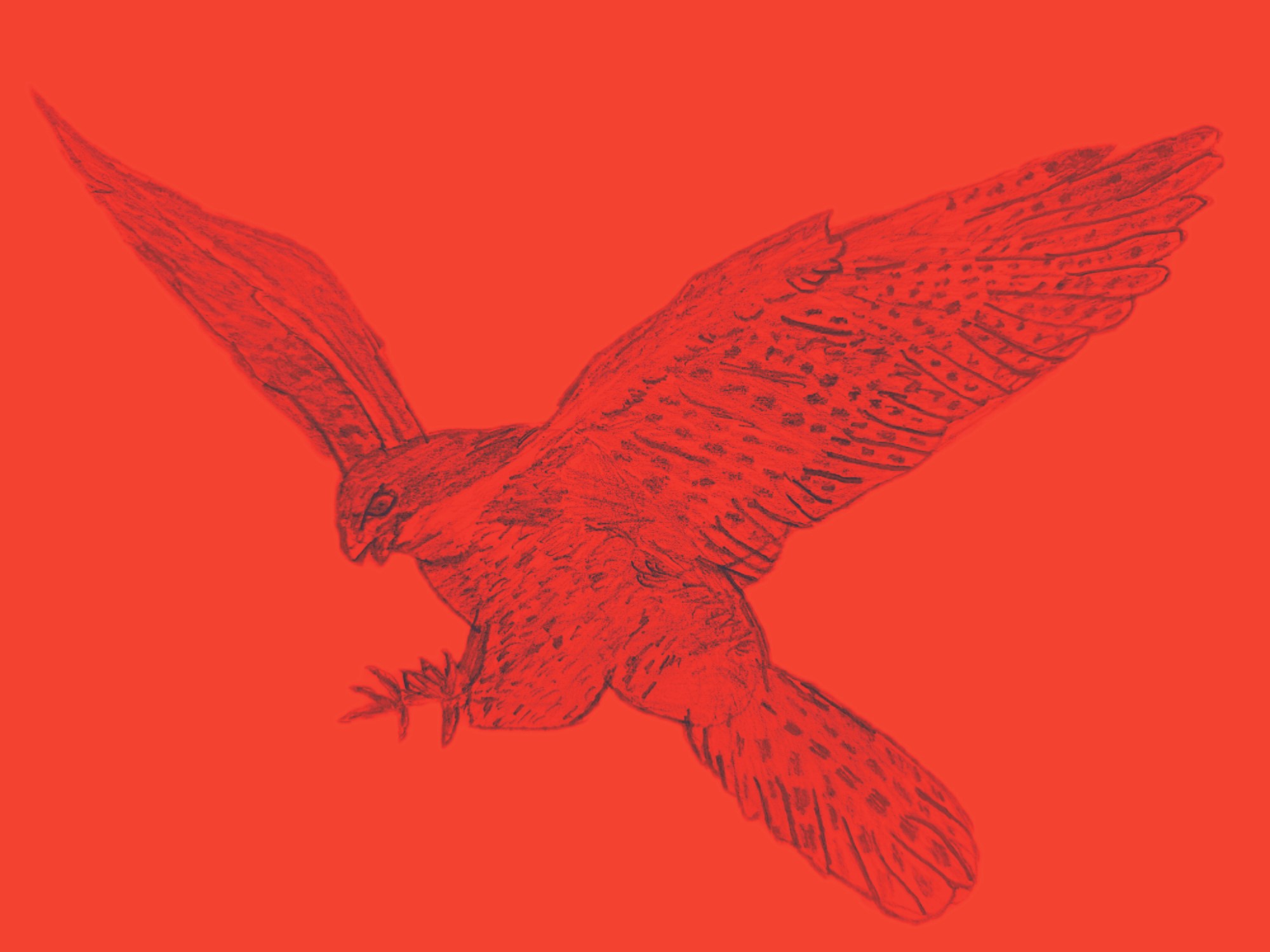FIU-KFSCIS Falcon